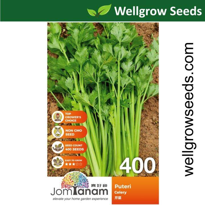 Celery Puteri (400sds) Jom Tanam by Crop Power JT400 芹菜 | Lazada