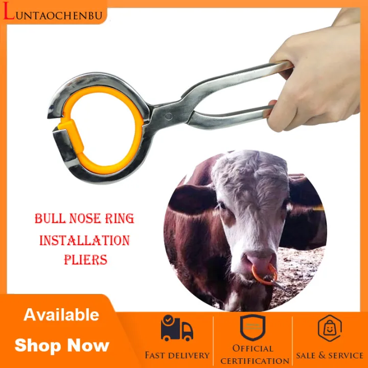 Stainless Steel Cattle Bull Nose Pliers Long handle bull Nose puncher ...