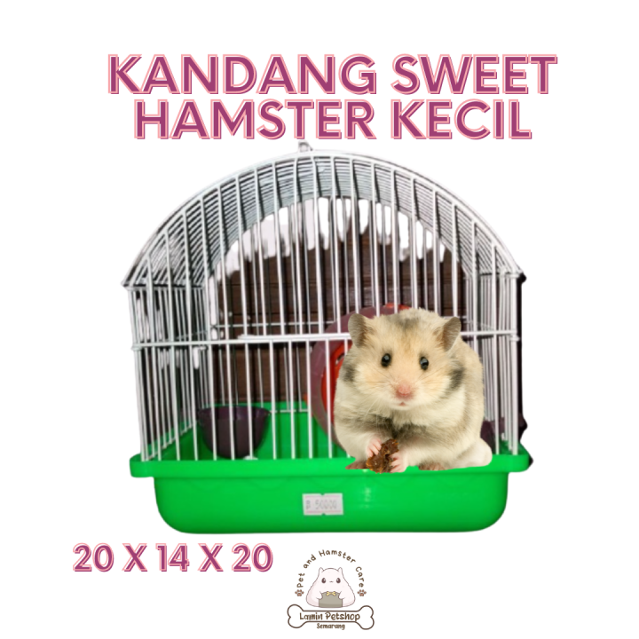 Kandang Hamster SWEET Kecil | Lazada Indonesia