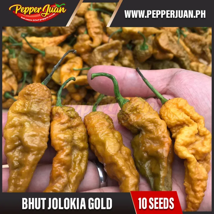 Bhut Jolokia Seeds