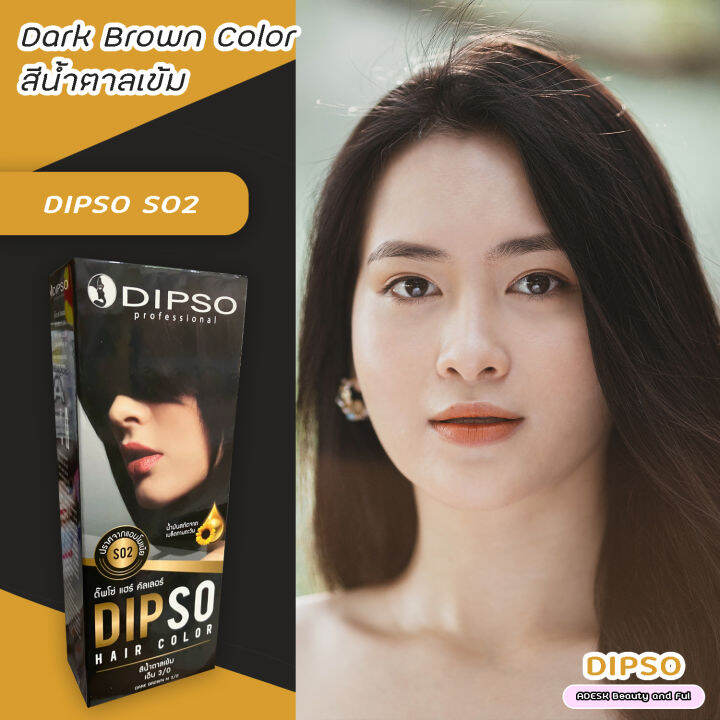 ดิ๊พโซ่ S02 สีน้ำตาลเข้ม ครีมเปลี่ยนสีผม ครีมย้อมผม สีย้อมผม ยาย้อมผม Dipso S02 Dark Brown Hair ...