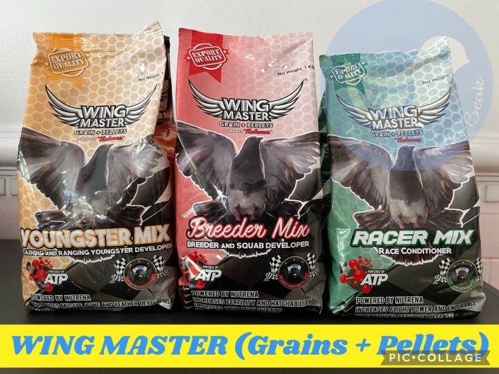 Wing Master 1 Kilo Per Pack | Lazada PH