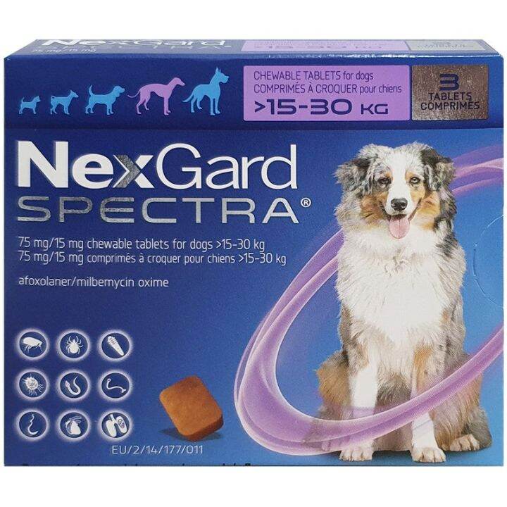 NEXGARD SPECTRA FOR DOGS 15 TO 30 KG | Lazada PH