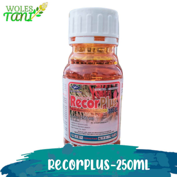 Recorplus 250 ml Recor Plus 250 ml Fungisida Antraknosa | Lazada Indonesia