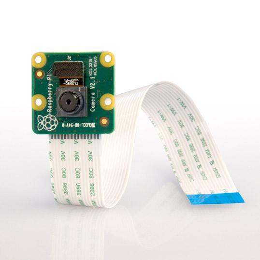 Argon40 Raspberry Pi Camera Module V2 - 8 Megapixel,1080p | Lazada PH