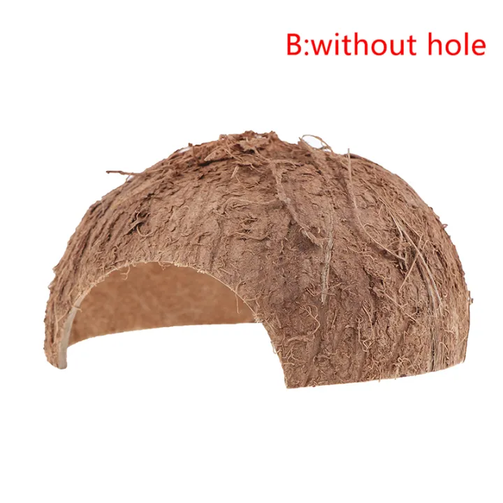 chaotuo Reptile Hide Habitat Natural Coconut Shell Lizard Spider Small ...