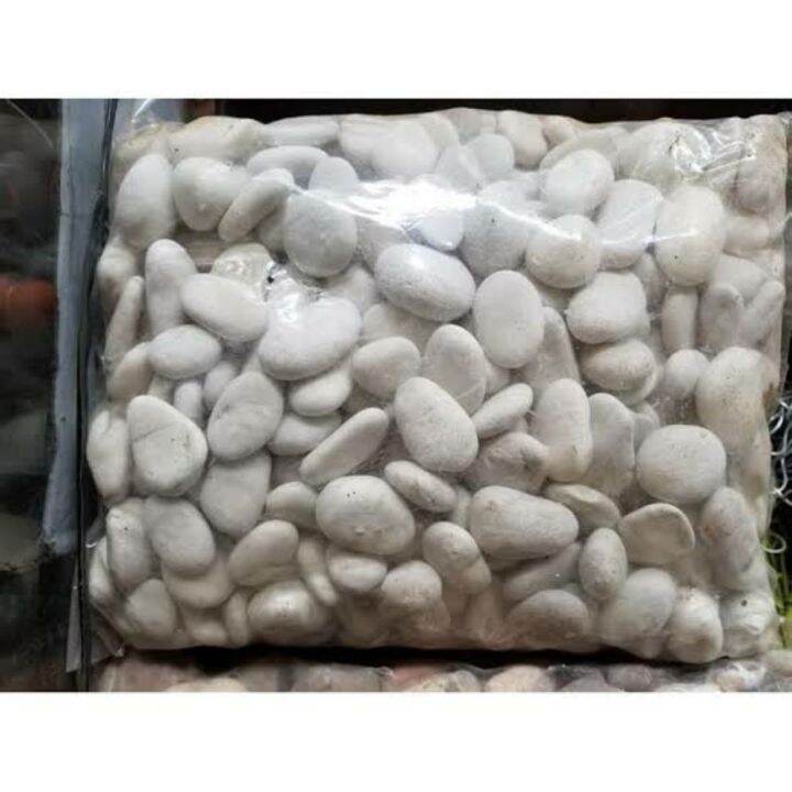 batu hias kolam atau tumbuhan koral putih berat 1 kg / batu koral putih ...