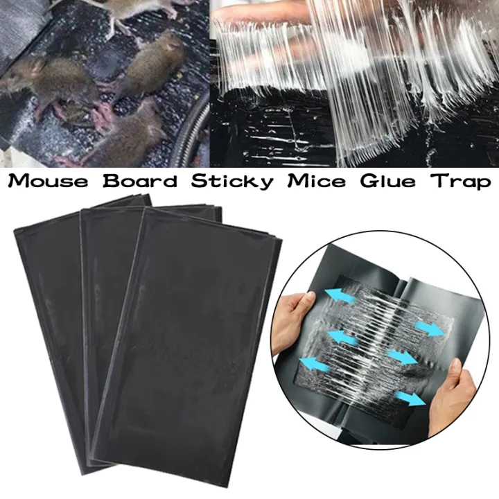 Mouse Board Sticky Mice Glue Trap High Effective | Lazada PH