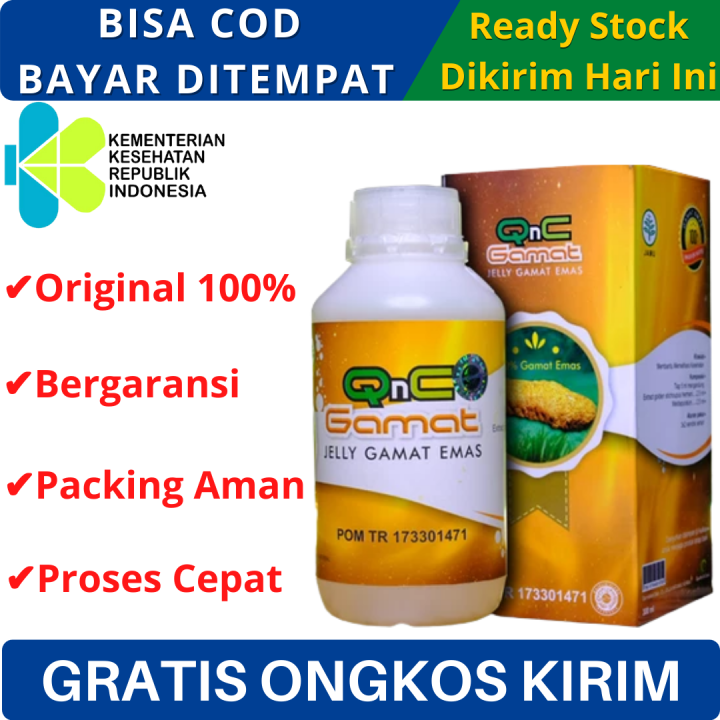 Obat Untuk Menaikkan Trombosit Demam Berdarah, Obat DBD Alami, Demam ...