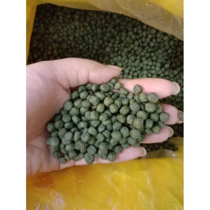 super grow/spirulina pellet fish food floating pellet 1kilo and half ...