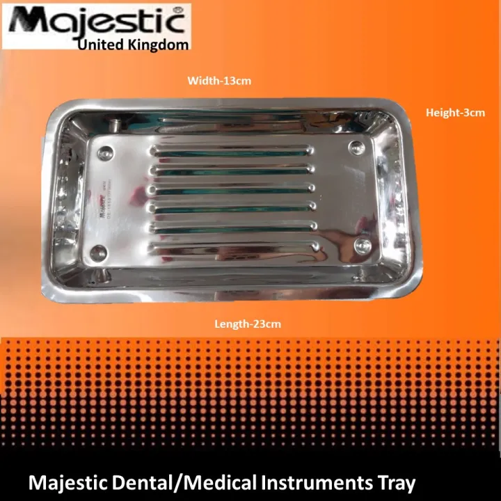 Majestic Stainless Steel Rectangular Dental Instrument Tray | Lazada PH