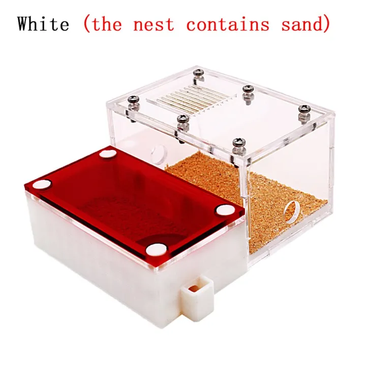 3D Acrylic Mini Ant Nest With Moisturizing Water Tower Ant Farm Pet ...