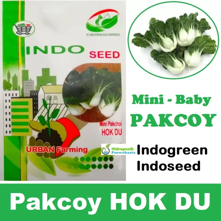Benih Baby Pakcoy Mini Pakcoy HOK DU Indogreen Indoseed 300 Butir ...