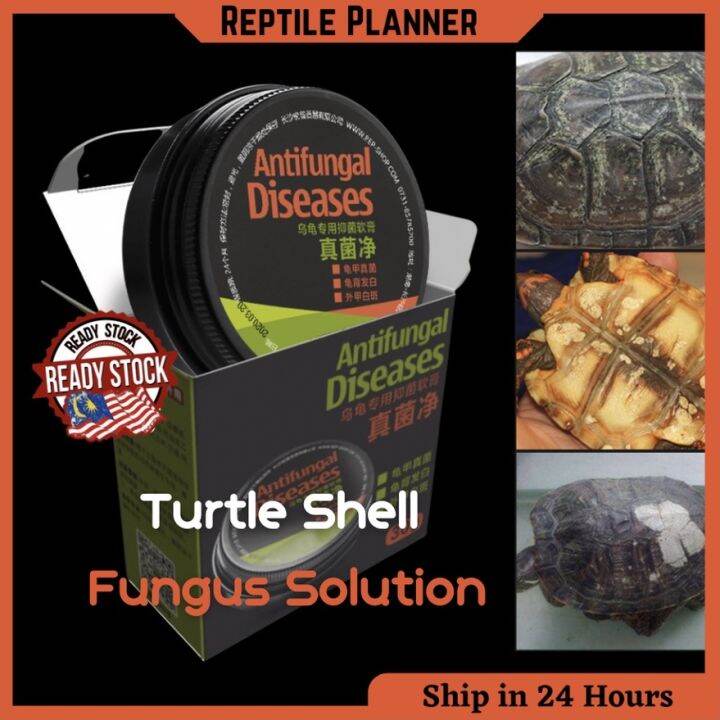 Ointment For Tortoise Shell Diseases Anti Fungal Turtle Medicine Rotten ...