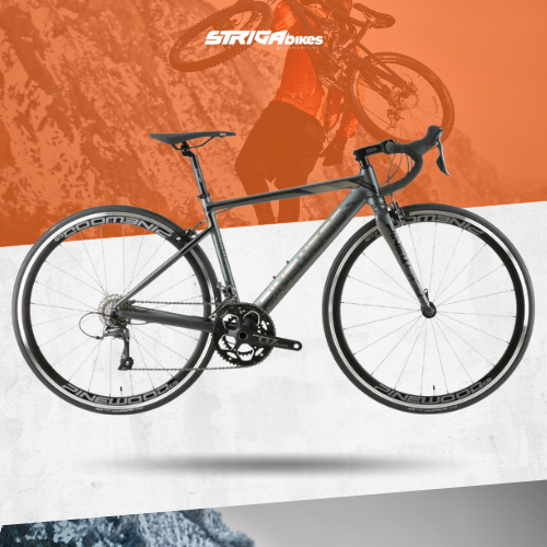 Pinewood Monza V2 Shimano Claris Road Bike | Lazada PH