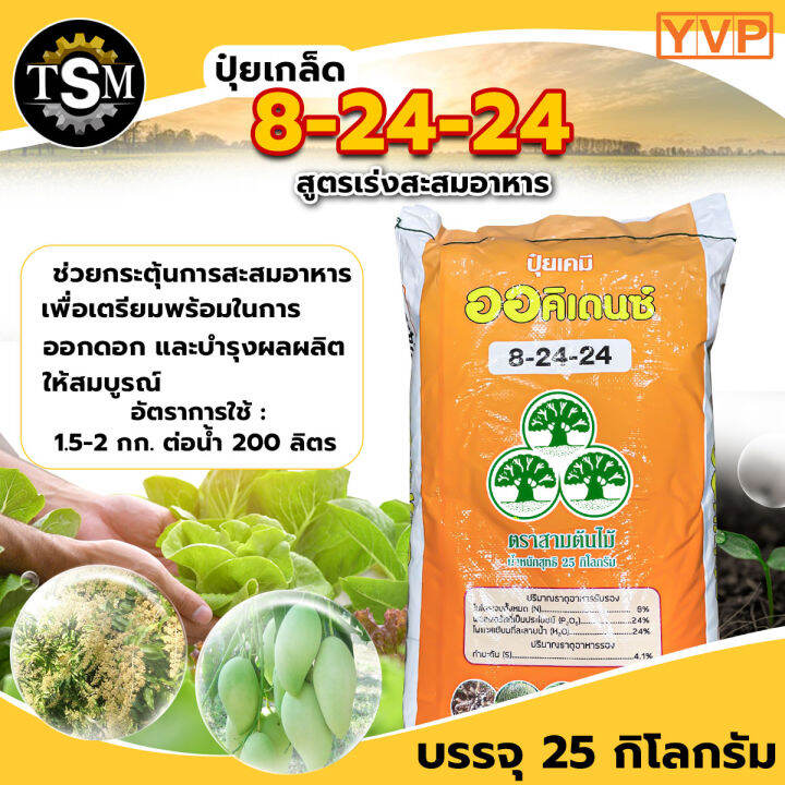 ปุ๋ยเกล็ด 8-24-24 เหลือง สูตรเร่งสะสมอาหาร ออกดอก ปุ๋ยเกล็ดละลายน้ำ ...