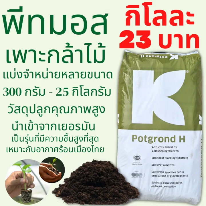 วัสดุเพาะกล้า พีทมอสสำหรับเพาะต้นกล้า Potgrond H คลาสแมน (klasmann ...