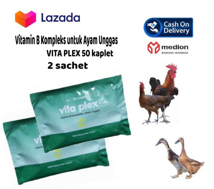 2 SACHET-Vitamin B Kompleks untuk Ayam Unggas VITA PLEX 50 kaplet ...