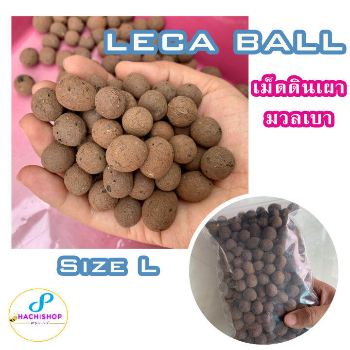 เม็ดดินเผาเลก้าบอล (Leca Ball) เม็ดดินเผามวลเบา วัสดุปลูก Size L ถุง 1 ลิตร📍 | Lazada.co.th