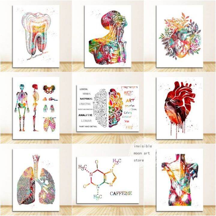 Human Anatomy Muscle System Art Poster - Medical Education Canvas ...
