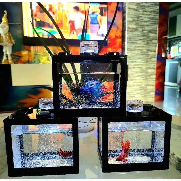 Fishing gear Mini Aquarium Betta fish Fighting Cylinder Rumble Building ...