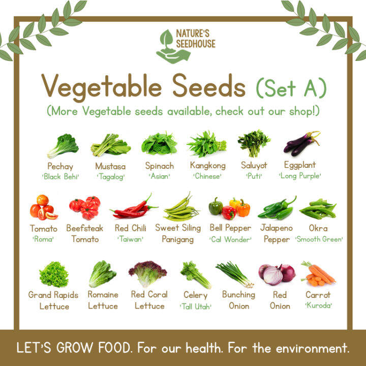 Vegetable Seeds Collection Set A Top-Quality Seeds | Lazada PH