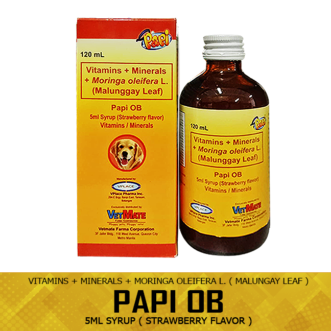 Papi OB Syrup Vitamins + Minerals + Moringa oleifera L. (Malunggay Leaf ...