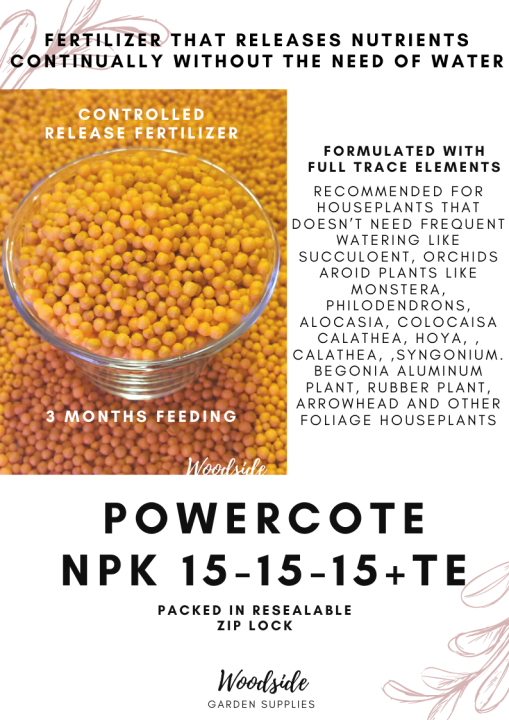 Powercote NPK 15-15-15 All Purpose Controlled Released Fertilizer ...