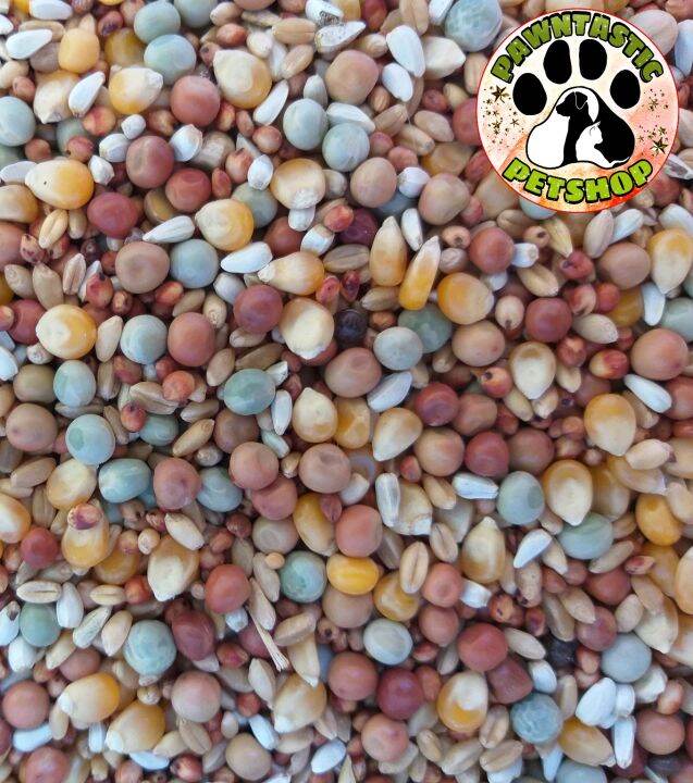 Pigeon Breeder Energy Mix 1kilo Repacked | Lazada PH