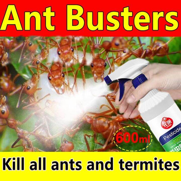 Ants spray killer 600ml Ant Killer Spray for ants Long Lasting ...