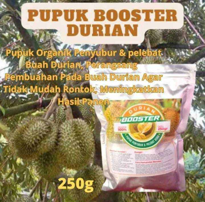 Pupuk Tanaman Buah Durian Pupuk Pelebat Durian Pupuk Booster Durian Pupuk Penyubur Tanah