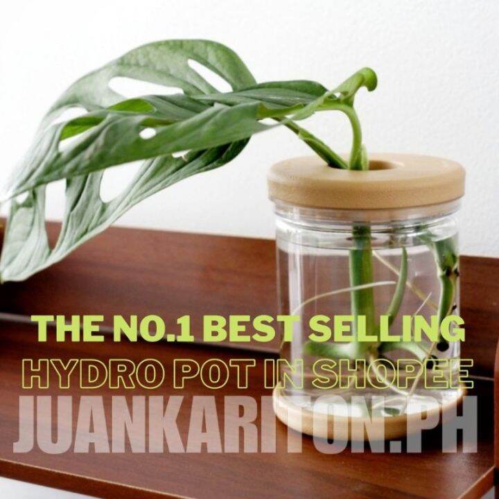 Stylish Propagation Pot Hydroponic Pot Flower Container Aquaponic ...