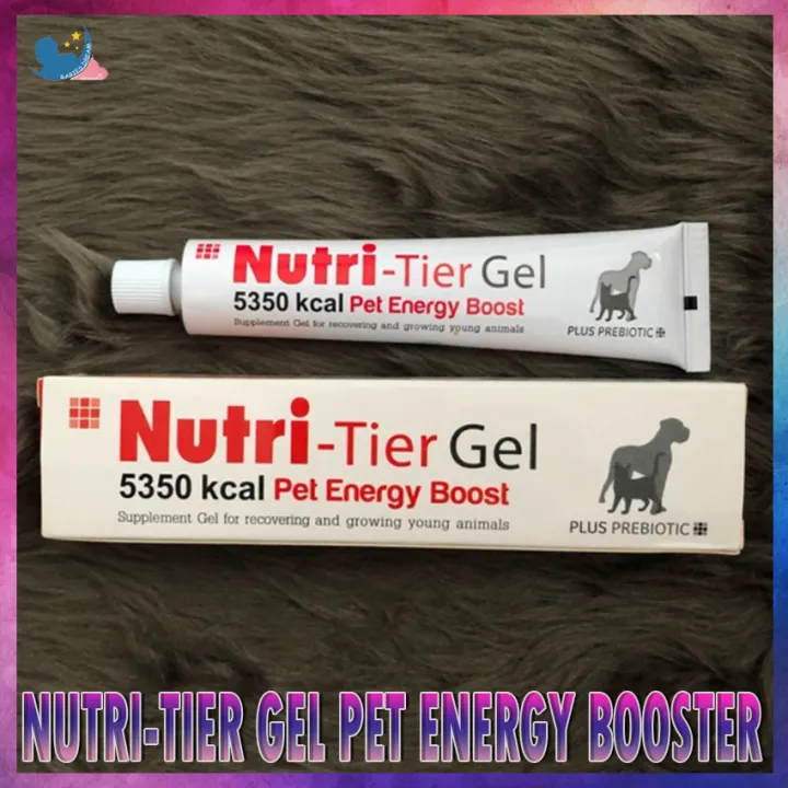 Nutri-Tier Gel Pet Energy Booster Supplement Gel + Prebiotics for Dogs ...