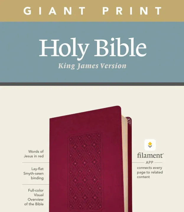 KJV Personal Size Giant Print Bible, Filament Enabled Edition Cranberry ...