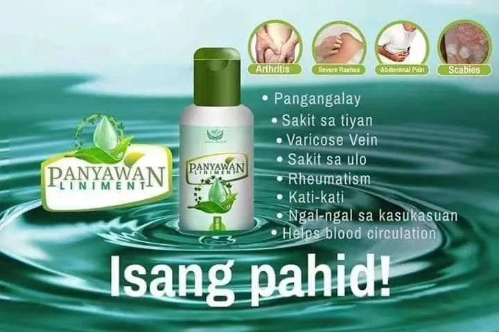 Panyawan Liniment Oil 60 ml | Lazada PH