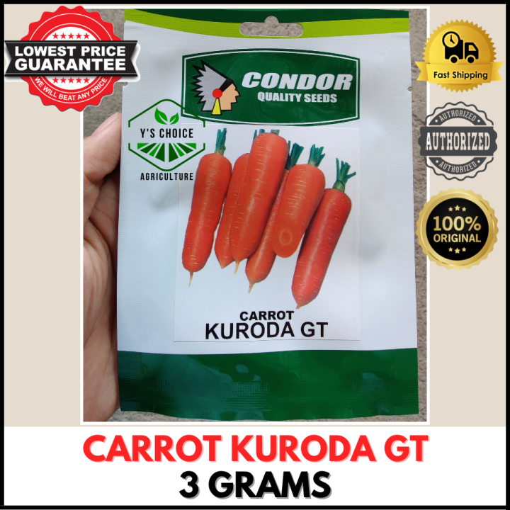 CONDOR SEEDS - CARROT SEEDS - KURODA GT 3 Grams | Lazada PH