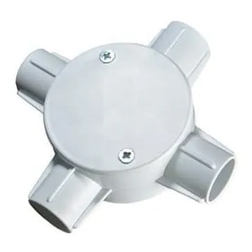 T dus / Tdus / Tedus Cabang/T Dus / T Dos / Tdus / Tdos / Tedus Putih ...