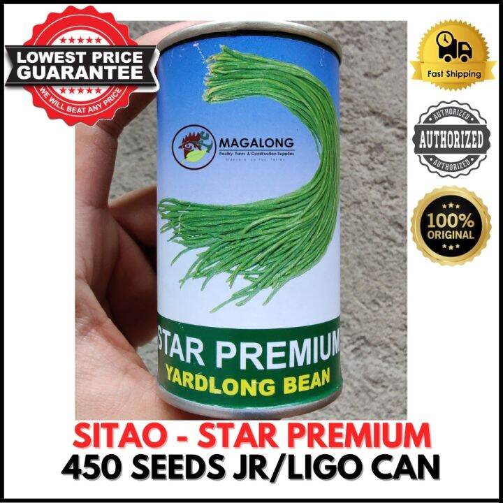 CONDOR - POLE SITAO / SITAW SEEDS - STAR PREMIUM 450 Seeds JR CAN ...