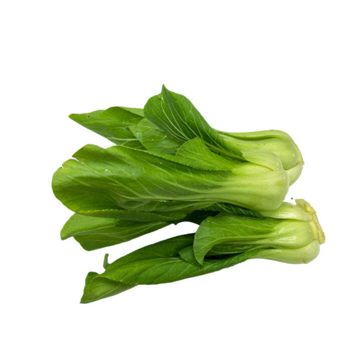 Pechay Taiwan "Bok Choy" (150-200g) Fresh Harvest | Lazada PH