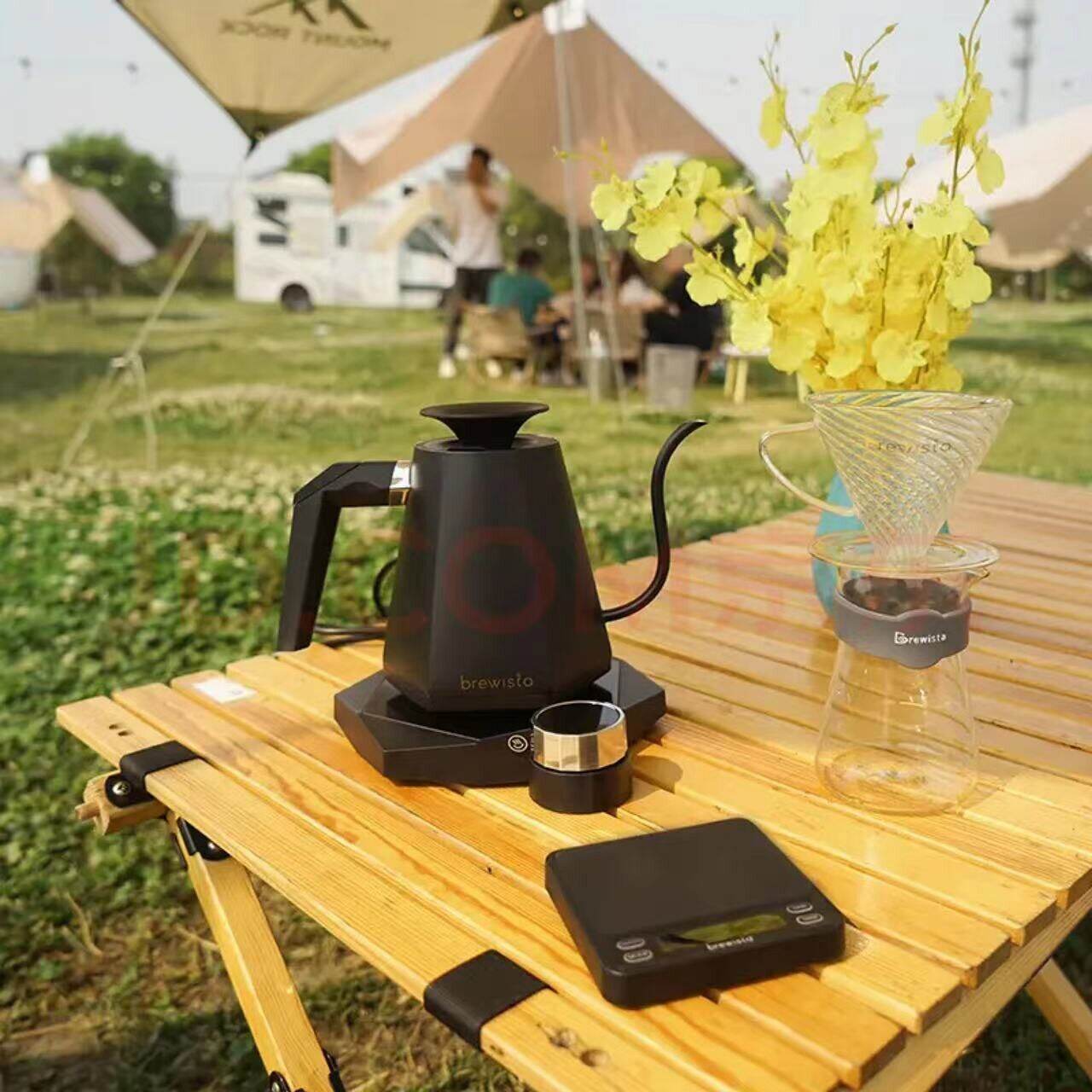 Brewista X Series Portable Coffee Kettle 0.8L 220V Gooseneck Variable ...