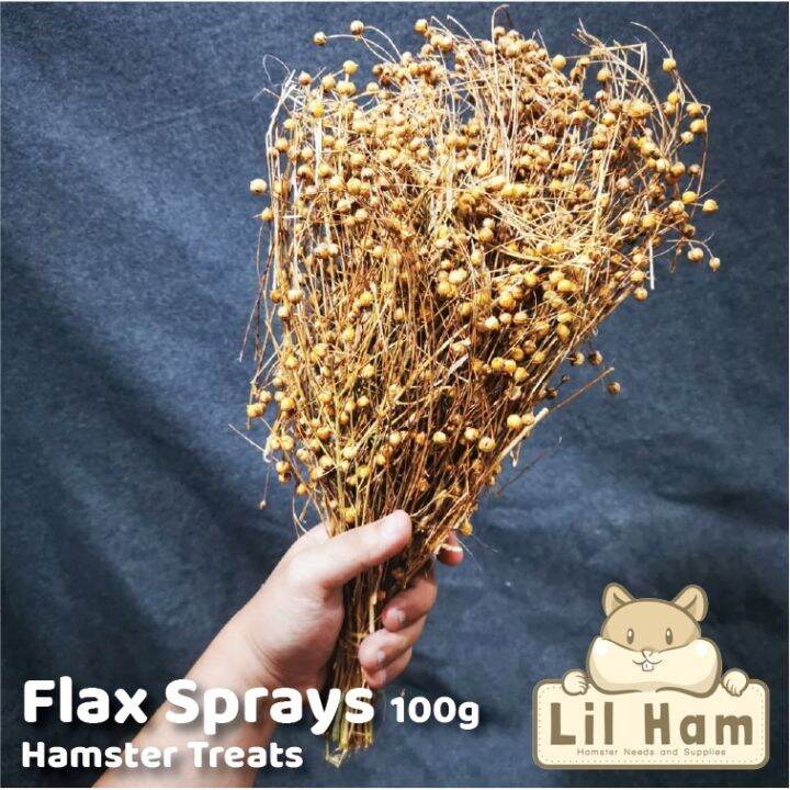 Flax Spray Hamster Treats 100g | Lazada PH