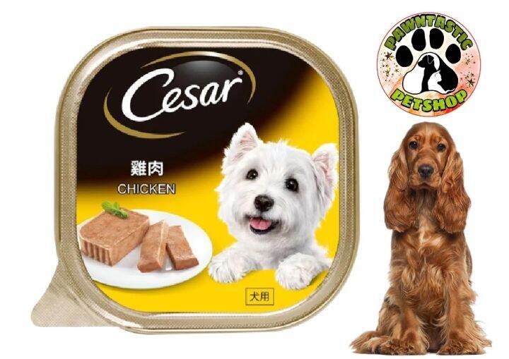 Cesar Can Dog Wet Food 100g - Chicken | Lazada PH