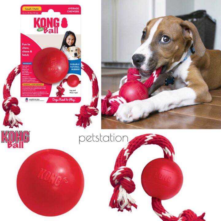 Kong Ball Rope ของเล่นสัตว์เลี้ยง | Lazada.co.th