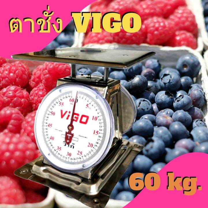Stainless Steel Model 60 KG VIGO Brand | Lazada.co.th