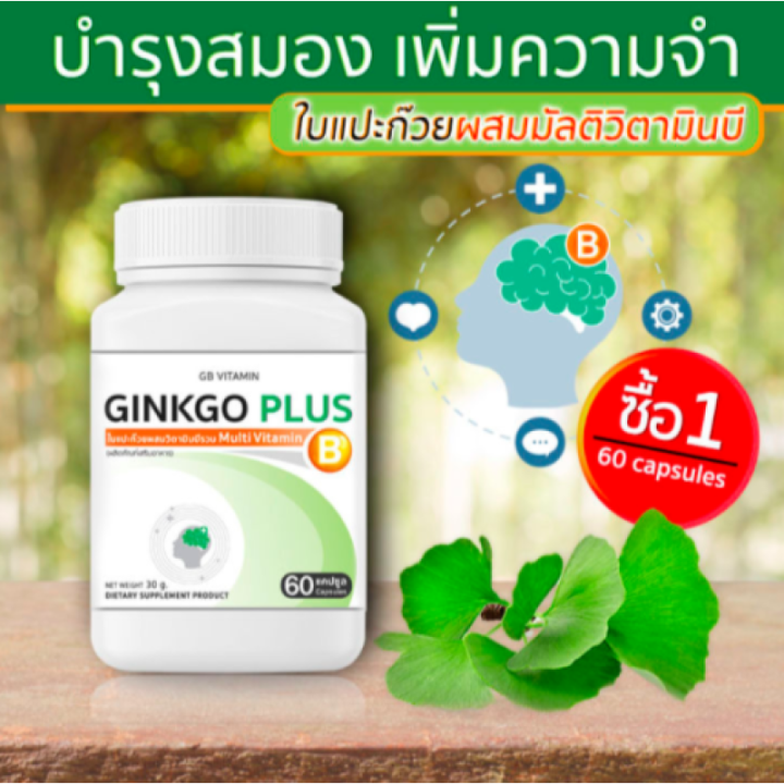Ginkgo Plus Multivitamin B ใบแปะก๊วย ผสมวิตามินบีรวม ขนาด 60 แคปซูล สาร ...