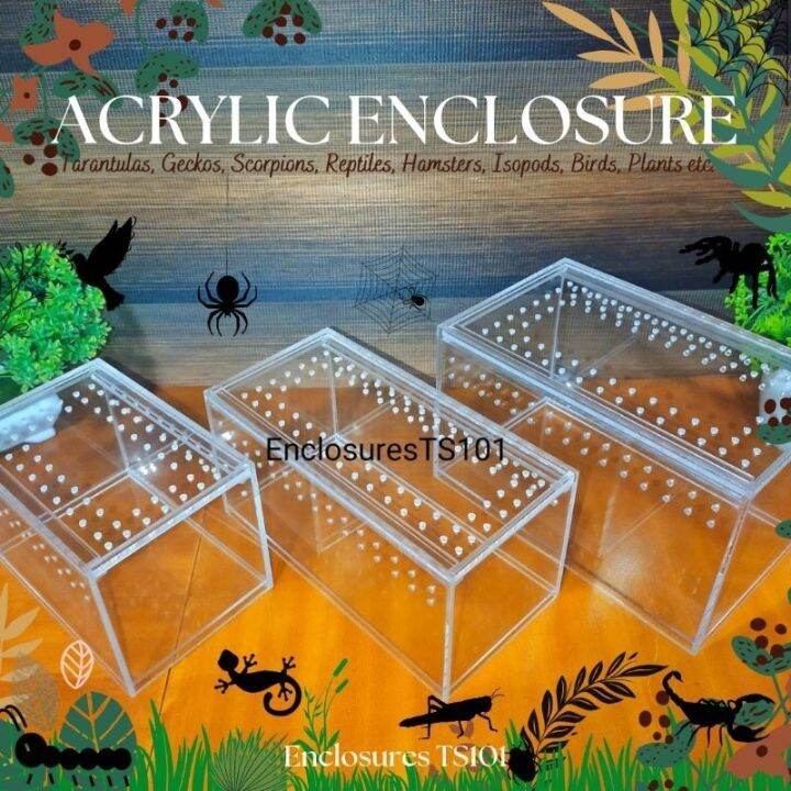 Acrylic Enclosure Cage Side for Tarantula Scorpion Reptiles Isopods ...