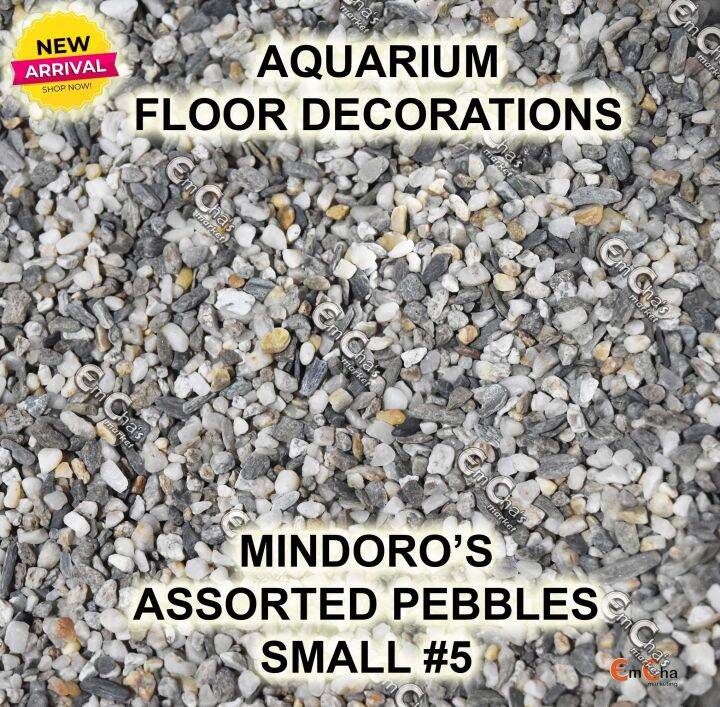 1kg Mindoro Assorted Pebbles(SMALL SIZE #5 WHITE MIXED PEBBLES)Aquarium ...