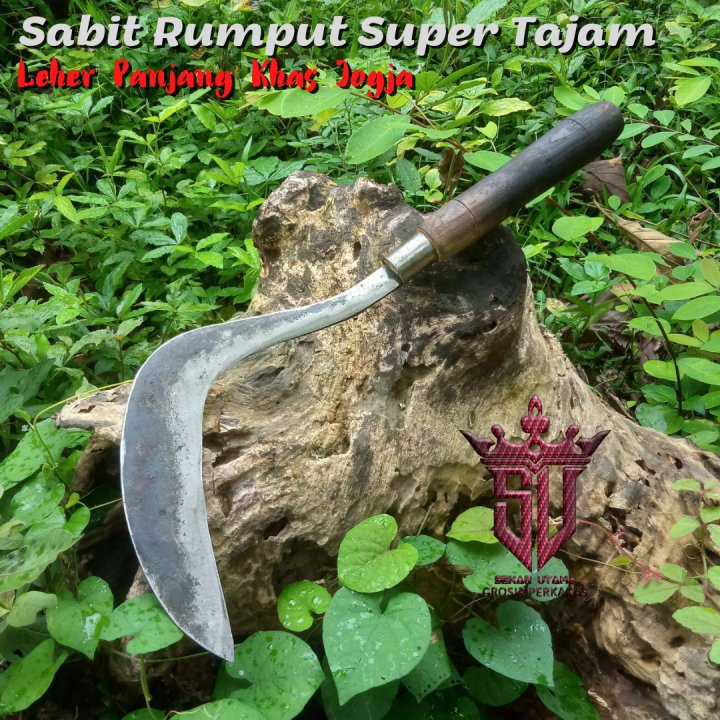 Sabit Rumput Super Tajam Gagang Kayu Jati Baja Asli Pande Jawa - Arit ...