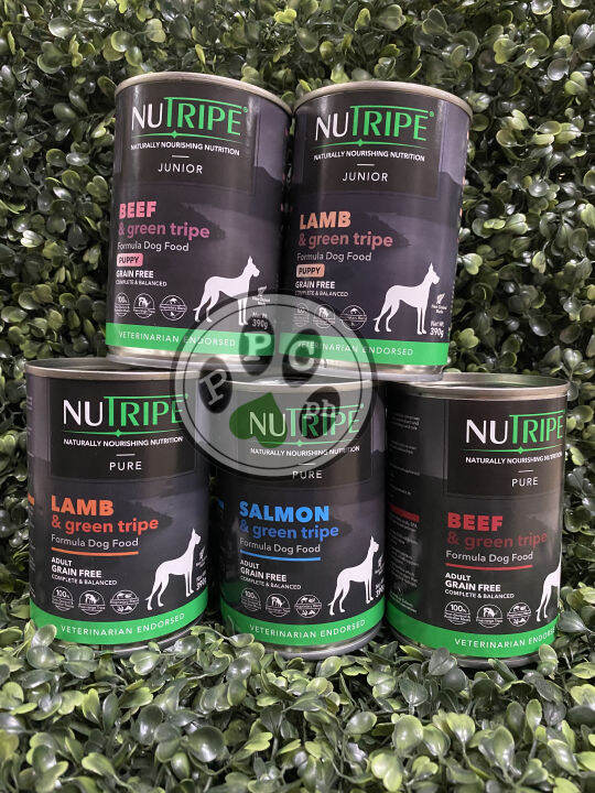 Nutripe Dog Food in Can 390g | Lazada PH