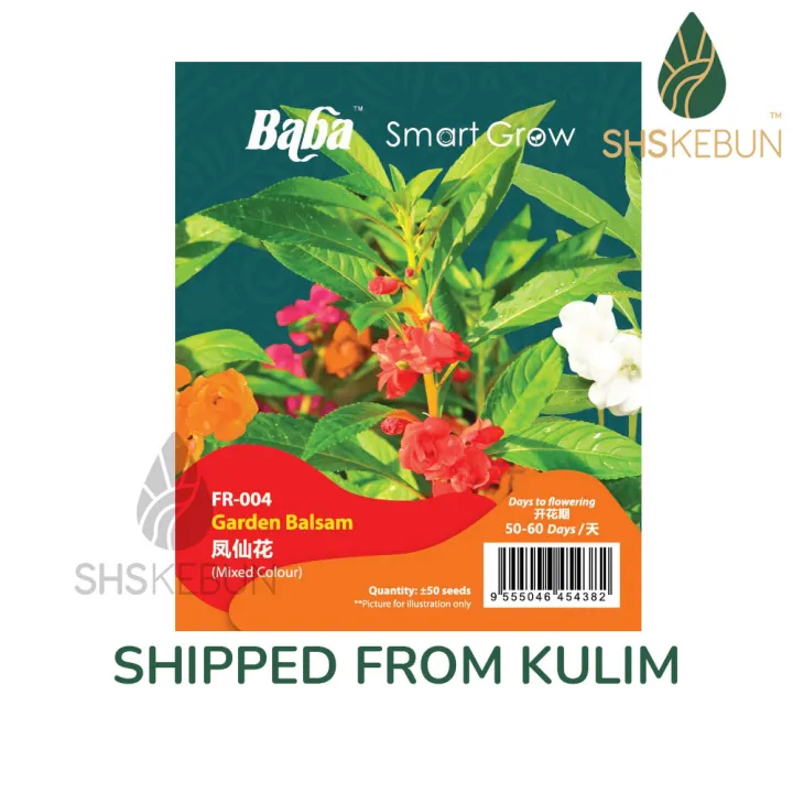 seeds Quality seed plant seeds Baba Garden Balsam Seeds 凤仙花 FR-004 ...